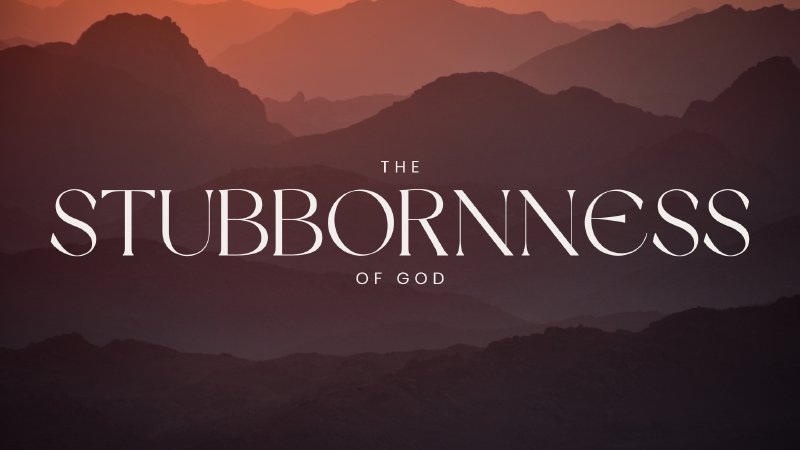 The Stubbornness of God and Our Perfect Salvation | Proclamation ...