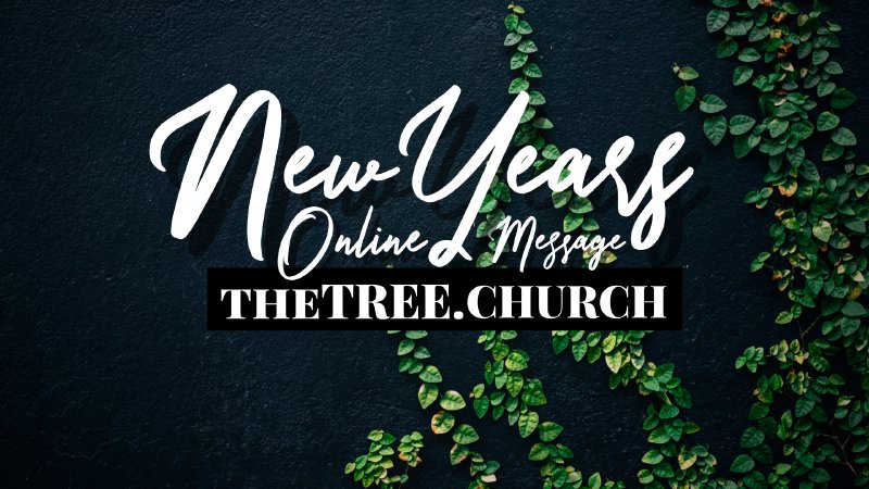 Healthy Fear | The Tree Church