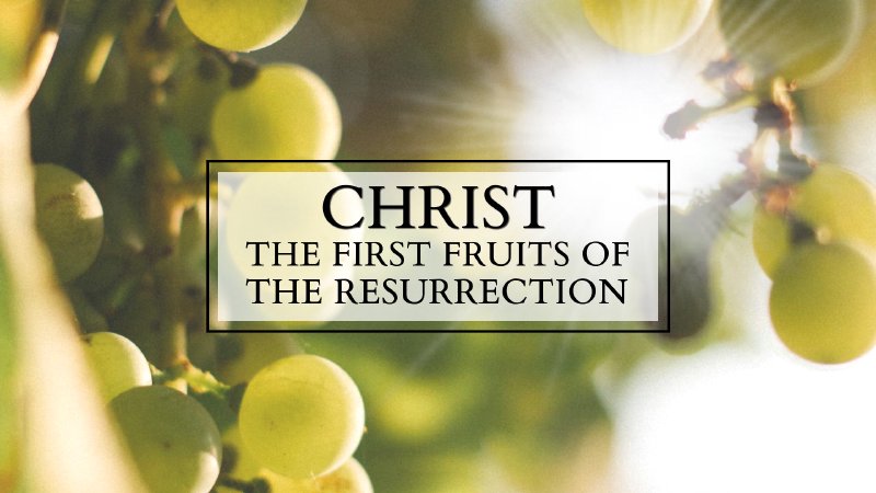Replay-Christ the First Fruits of the Resurrection | Anchor Bible Church