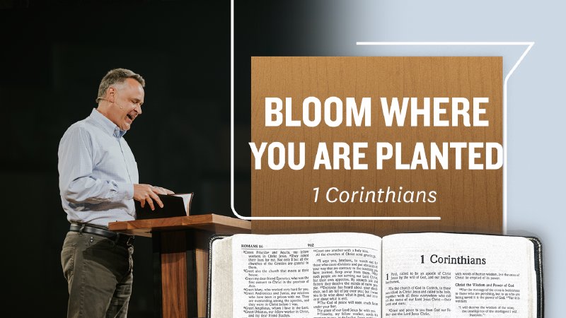 Bloom Where You Are Planted | Christ Place Church