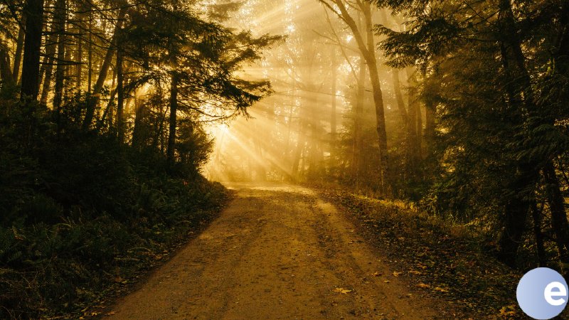 The Lord Shall Direct Your Path | Encountering Peace