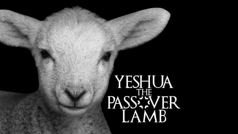 Yeshua The Passover Lamb Restoration Seattle
