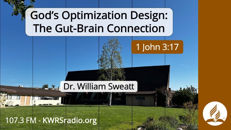 God's Optimization Design: The Gut-Brain Connection by Dr. William ...