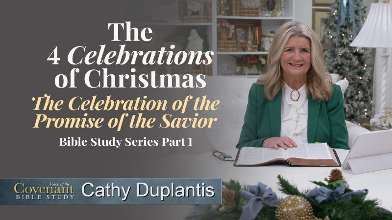 The 4 Celebrations of Christmas, Part 1: The Celebration of the Promise ...