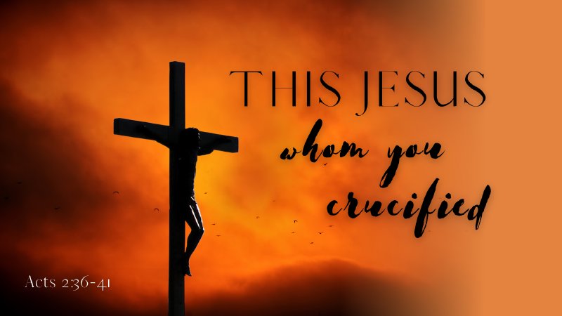 This Jesus Whom You Crucified | Christ Our Savior Lutheran Church ...