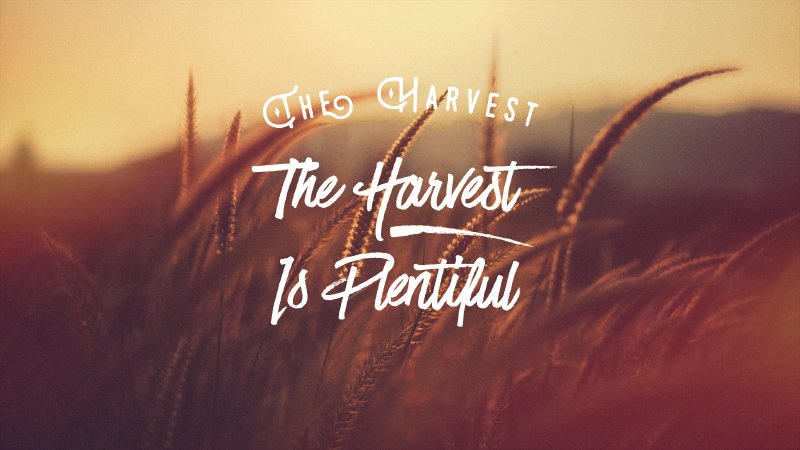 The Harvest: The Harvest Is Plentiful | South Lake Church of Christ