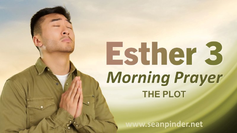 The Plot | Sean Pinder Ministries