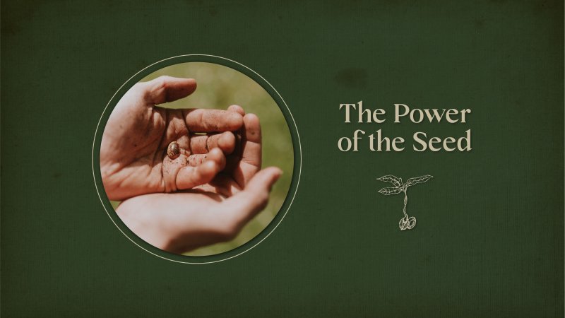 The Power of the Seed | King's Church - Aberdeen
