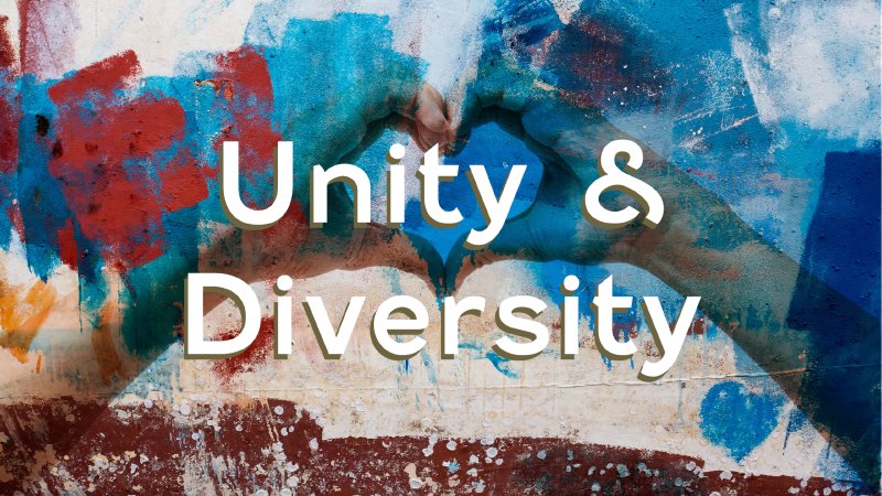Unity and Diversity | Goodrich Memorial UMC