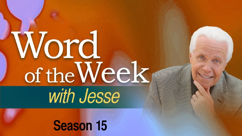 Word of the Week - Season 15 | TotalJDM
