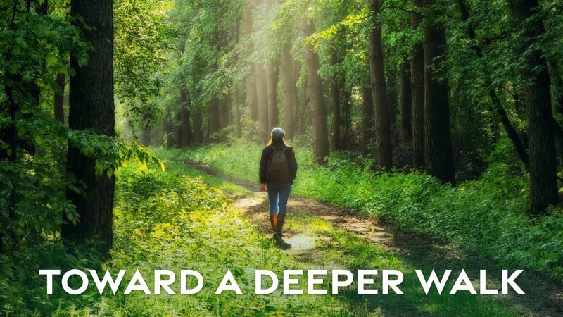 Ephesians…Toward a Deeper Walk | Life Bridge Community Church
