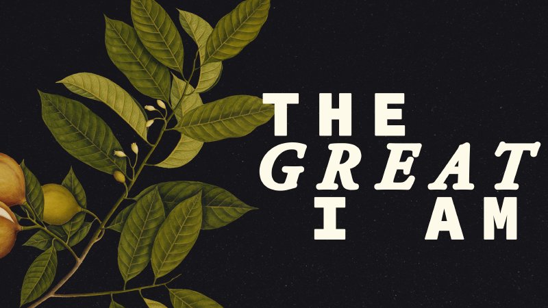 THE GREAT I AM: I am the Gate | Light & Life Christian Fellowship