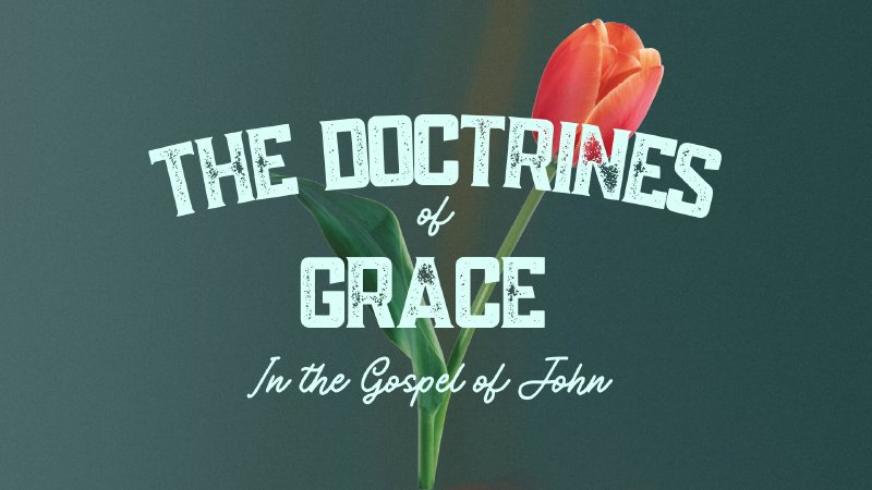 Perseverance of the Saints | Valley LIfe Community Church