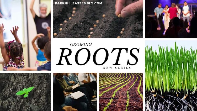 Growing Roots | Park Hills Assembly