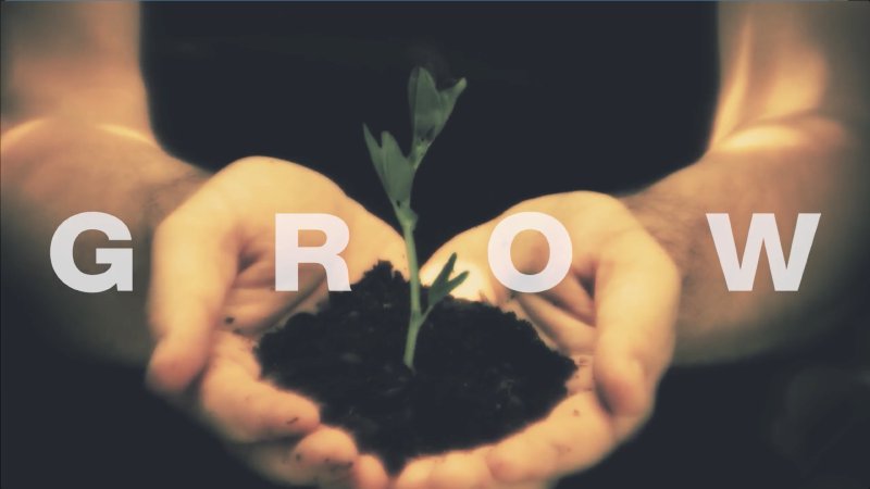 Grow - Knowledge, Self Control | Thrive Community Church
