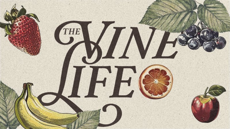 The Vine Life | The Parish Church