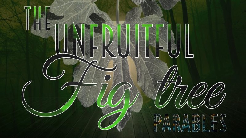 Part 32 - The Unfruitful Fig Tree (B) | Corner Fringe Ministries