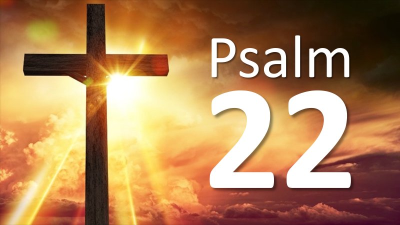 Psalm 22 | Fellowship Bible Church