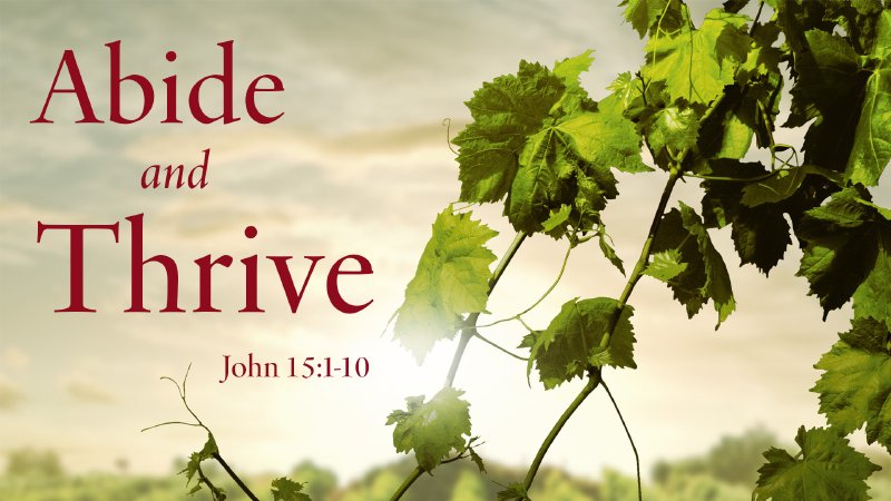 Abide and Thrive | Cornerstone Church of Christ