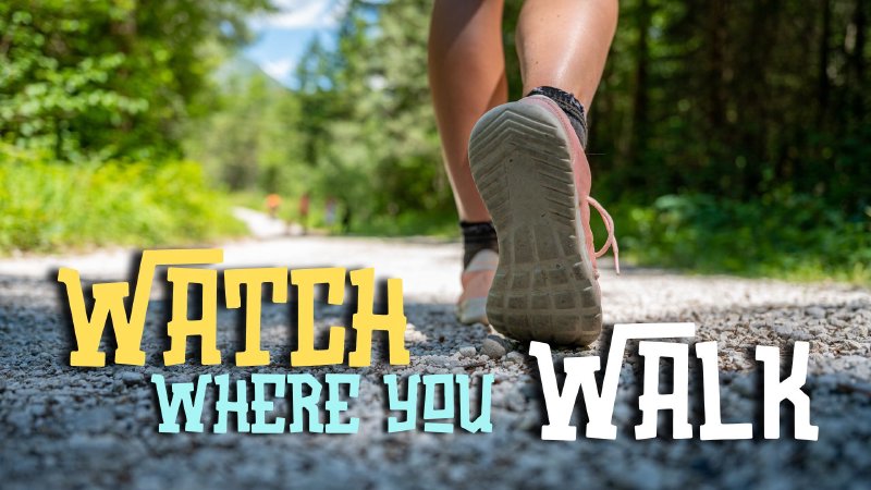 Watch Where You Walk | First Baptist Church (The First Family)