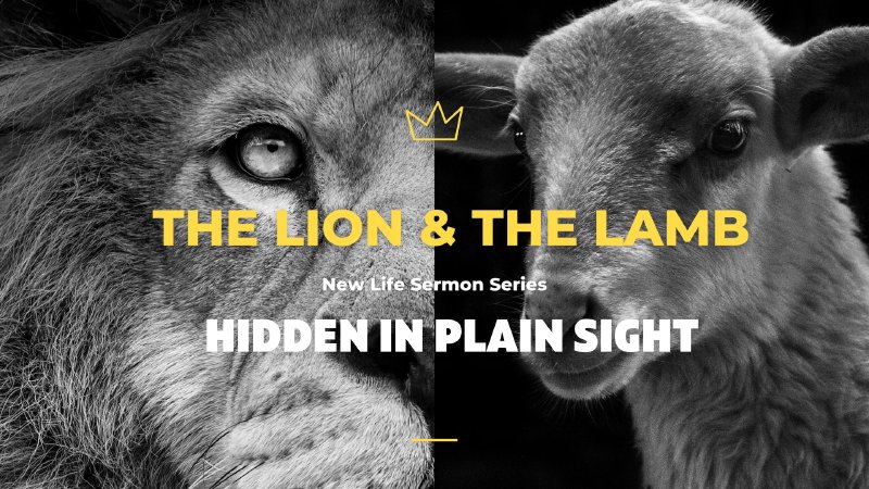 Hidden in Plain Sight | New Life Church (San Francisco)