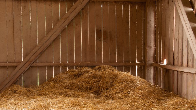 The Value of A "Dirty Barn" [9.10] | First Baptist Church Mountain View, MO