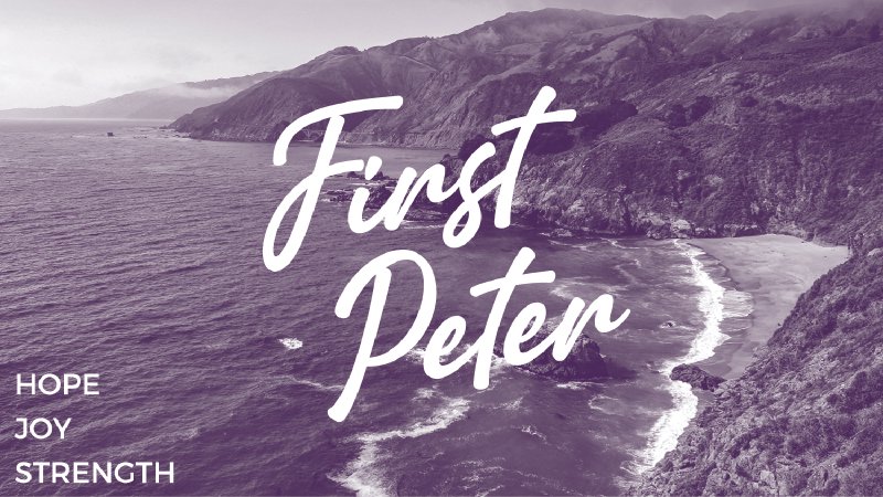 Christ Honoring Marriage | Compelled Church