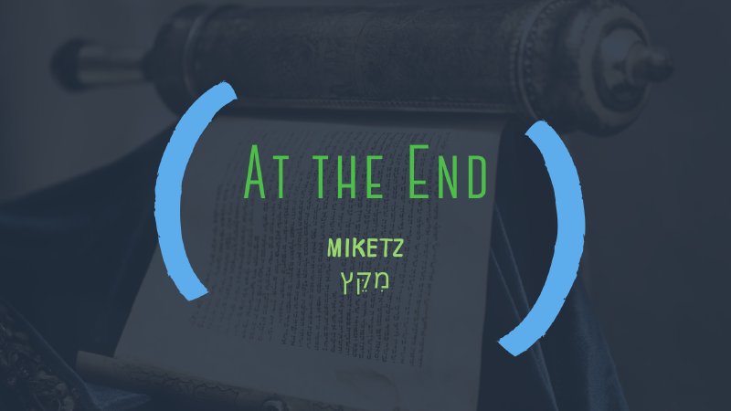 Miketz - מִקֵּץ | Netser Of Hope