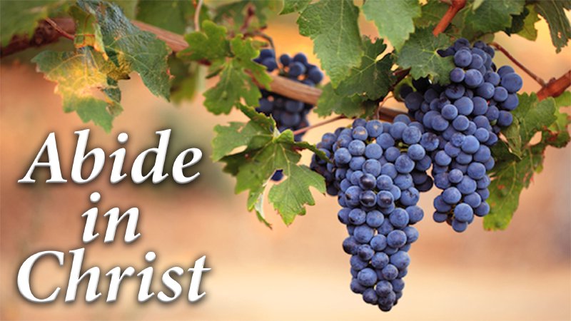Abide in Christ - part 2 | ZADOK