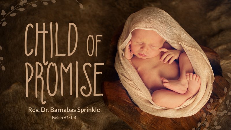 What Child Is This? Child of Promise | Liberty Corner Presbyterian Church