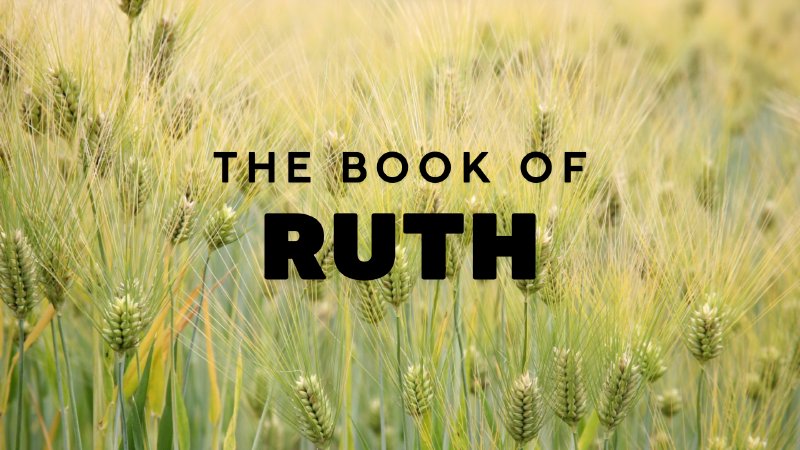 "God Has A Plan" | Ruth 2:1-13 | Calvary Chapel of Webster