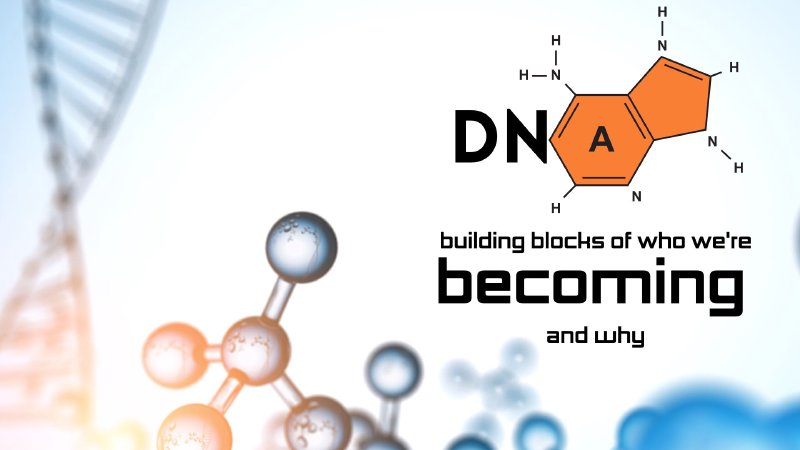 DNA- Building Blocks of who we are becoming and why | New Life ...