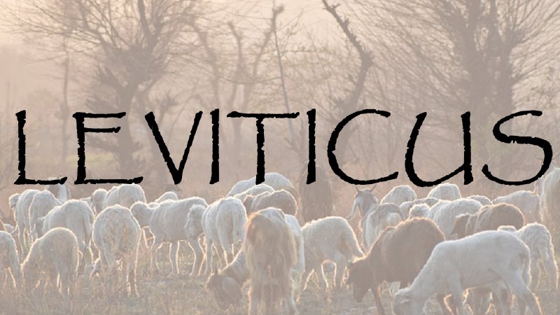 Leviticus 24:15-26:20 | Calvary Pico Rivera