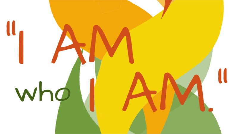 Proper 5 | St John's Evangelical Lutheran Church