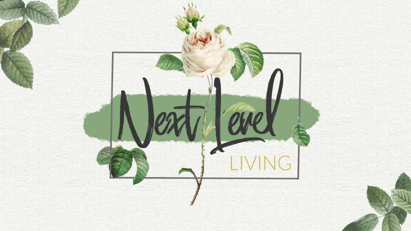 Next Level Now | 828 Church