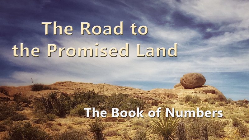 The Road to the Promised Land | Gathering Church