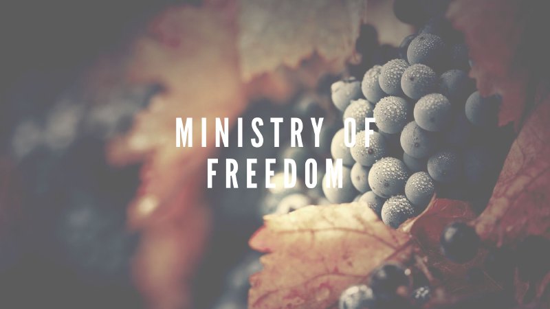 The Holy Spirit's Ministry of Freedom | encounterchurchnapa.com