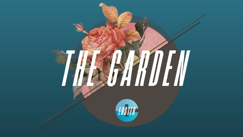 The Garden | Tracy Community Church