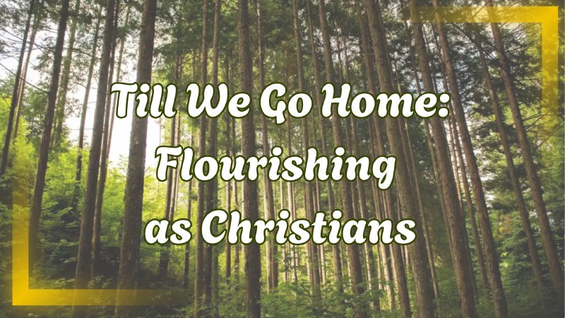 Strange Commands: Rejoice Always | Christ Community Church