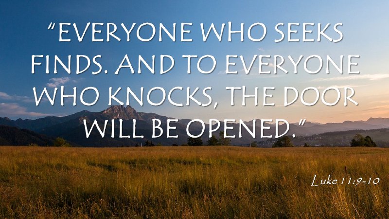 October 30, 2022 Christ Lutheran Church Live Stream: 'Seek... and Find ...