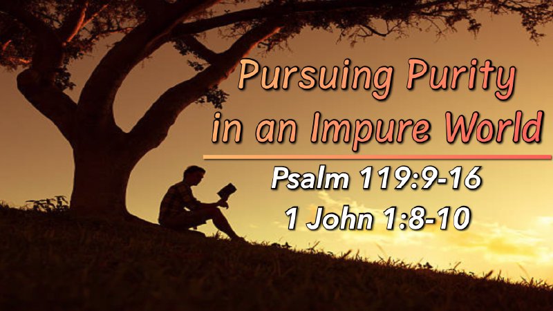 Pursuing Purity in an Impure World | First Baptist Church Pinson