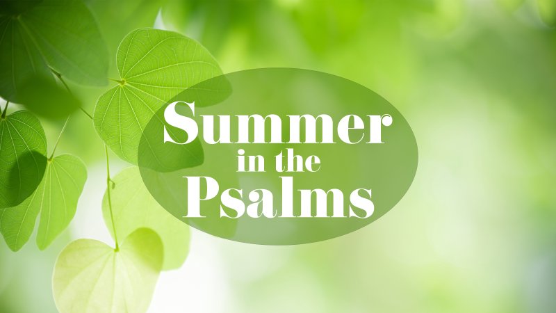 Summer in the Psalms | Calvary Wyncote Church
