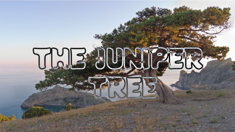The Juniper Tree | www.lifeatpraise.org