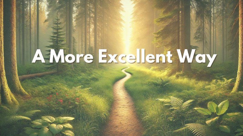 A More Excellent Way | Sanctuary Charlotte Church