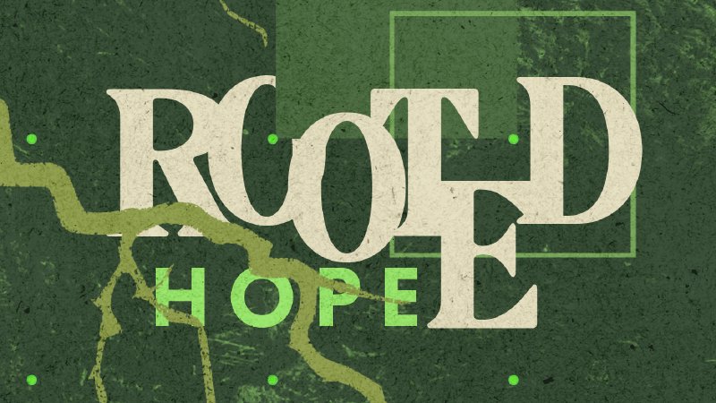 Rooted Hope: The Story That's Not About the Fish | Canyon View Vineyard ...