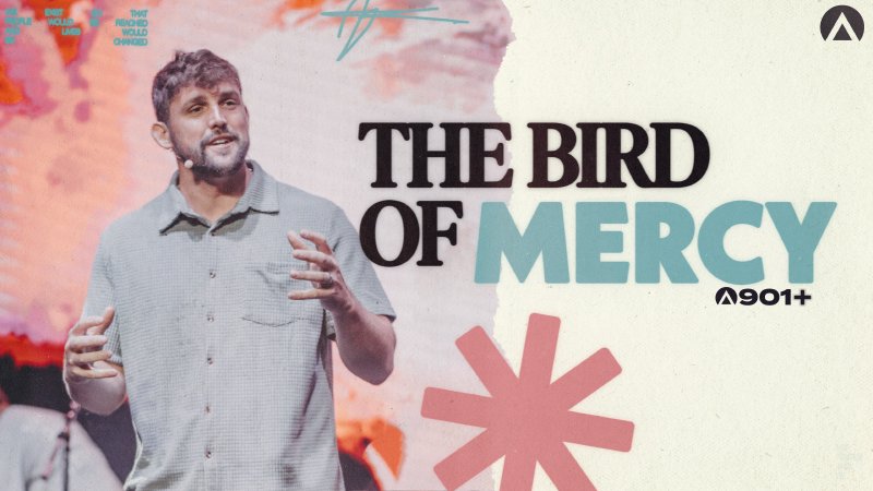 The Bird of MERCY // Pastor Tyler Dewitt // 901+ | 901 Church