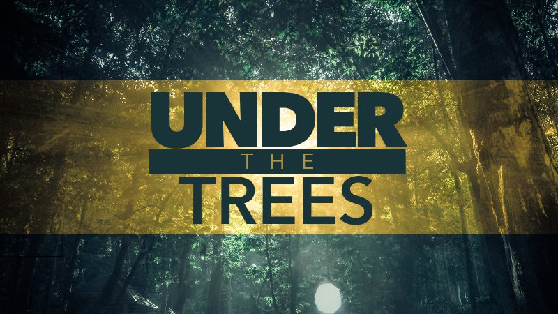 The Promise of Life Restored | Capital West Christian Church