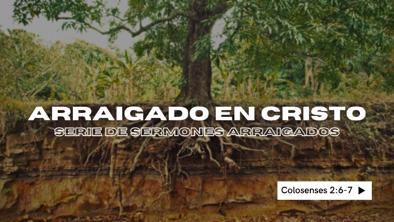 Arraigado En Cristo | Life Together Fellowship