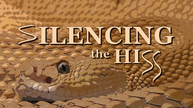 Silencing the Hiss | Colorado Community Church