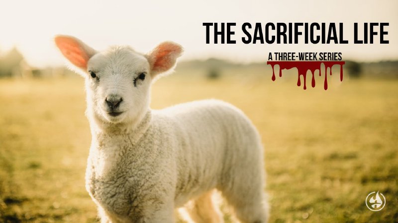 The Sacrificial Life | Ignite Wesleyan Church